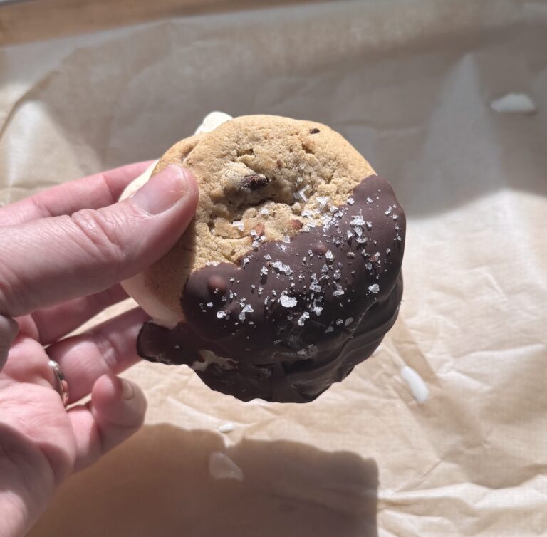 Mint Chocolate Chip Cookie Ice Cream Sandwiches - cheesegal.com